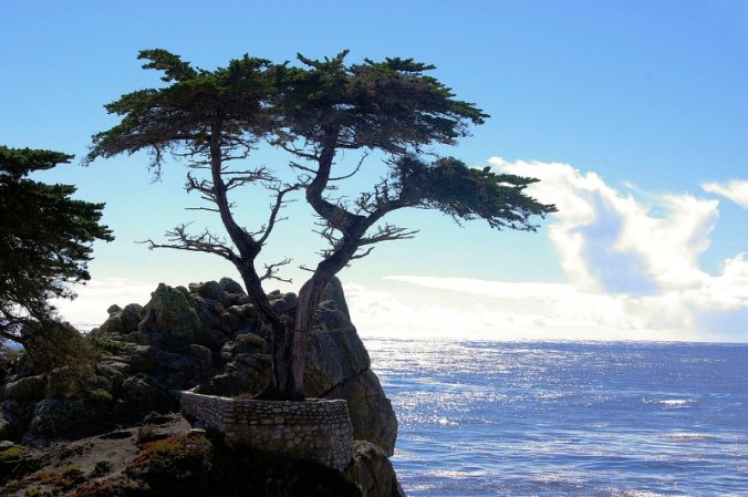 10+1 Interesting facts You should know before moving to Cyprus ...